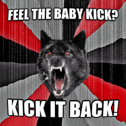 Wolf Kick It Back Meme GIF | GIFDB.com