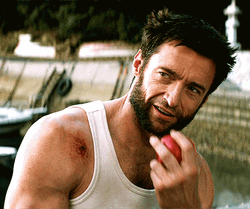 Wolverine Eating Apple GIF | GIFDB.com