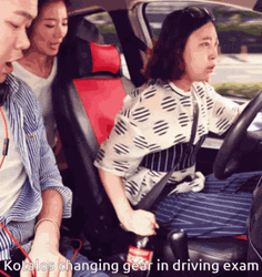 Woman Changing Gear In Driving Exam GIF | GIFDB.com