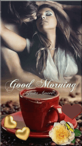 Fluffy Cat Beside Cup Of Coffee GIF (282×498) - Günaydın | GIFDB.com