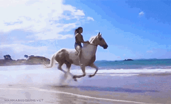 Woman Riding Horse On Beach GIF | GIFDB.com