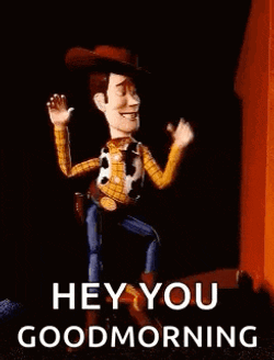 Woody Toystory Gif GIF | GIFDB.com