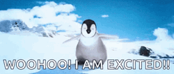 Woohoo Meme Penguin I'm Excited GIF | GIFDB.com