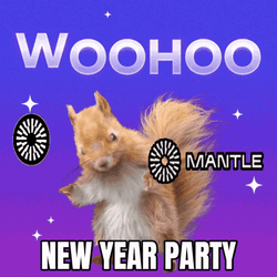 Woohoo Meme Squirrel New Year Party GIF | GIFDB.com