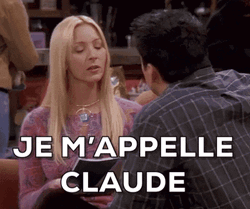 Word Salad Phoebe Buffay Babbling GIF | GIFDB.com