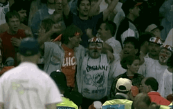 World Cup 480 X 302 Gif GIF | GIFDB.com