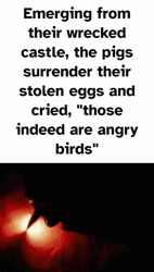 Writing Fire Angry Birds Internet Meme GIF | GIFDB.com