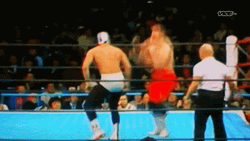 Wwe Hulk Hogan Drop Kick GIF | GIFDB.com