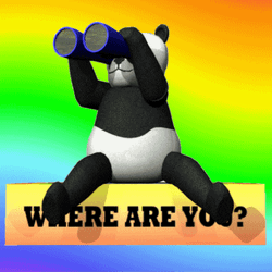 Wya Panda Using Binoculars GIF | GIFDB.com