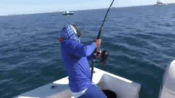 Yank Fishing Large Fish GIF | GIFDB.com