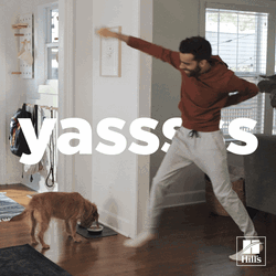 Yassss Guy Dancing In The Living Room GIF | GIFDB.com