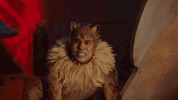 Yikes Jason Derulo Cats GIF | GIFDB.com