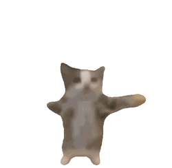 Yipee Yayyyy Cat Clapping GIF | GIFDB.com