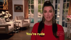 You Are Rude Lady In Red GIF | GIFDB.com