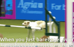 You Barely Submitted Your Timecard On Time GIF | GIFDB.com