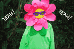 Animated Dancing Flowers Gif