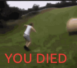 You Died Rolling Hay Off Cliff GIF | GIFDB.com
