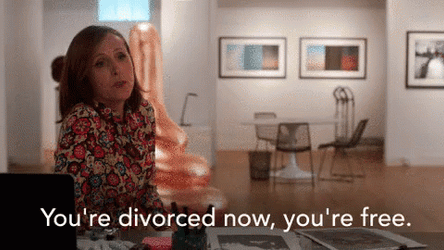 You're Divorce Divorced Now You're Free GIF | GIFDB.com