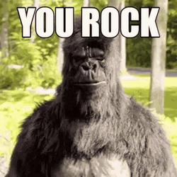 You Rock GIFs | GIFDB.com
