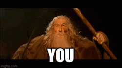 You Shall Not Pass Gandalf Sorcerer Meme GIF | GIFDB.com