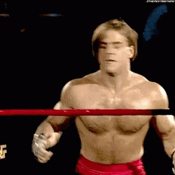 Young Shawn Michaels Karate Pose GIF | GIFDB.com