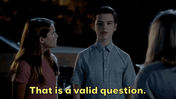 Young Sheldon That Is Valid Question GIF | GIFDB.com