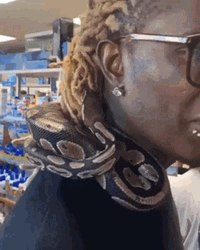 Young Thug Snake On His Shoulder GIF | GIFDB.com